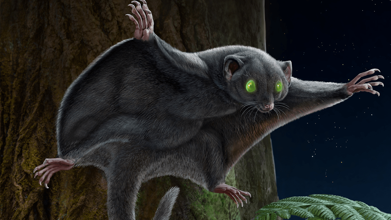 Early mammals were all one color, study suggests | Popular Science