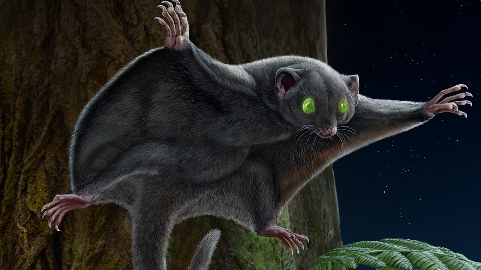 Early mammals were all one color, study suggests | Popular Science