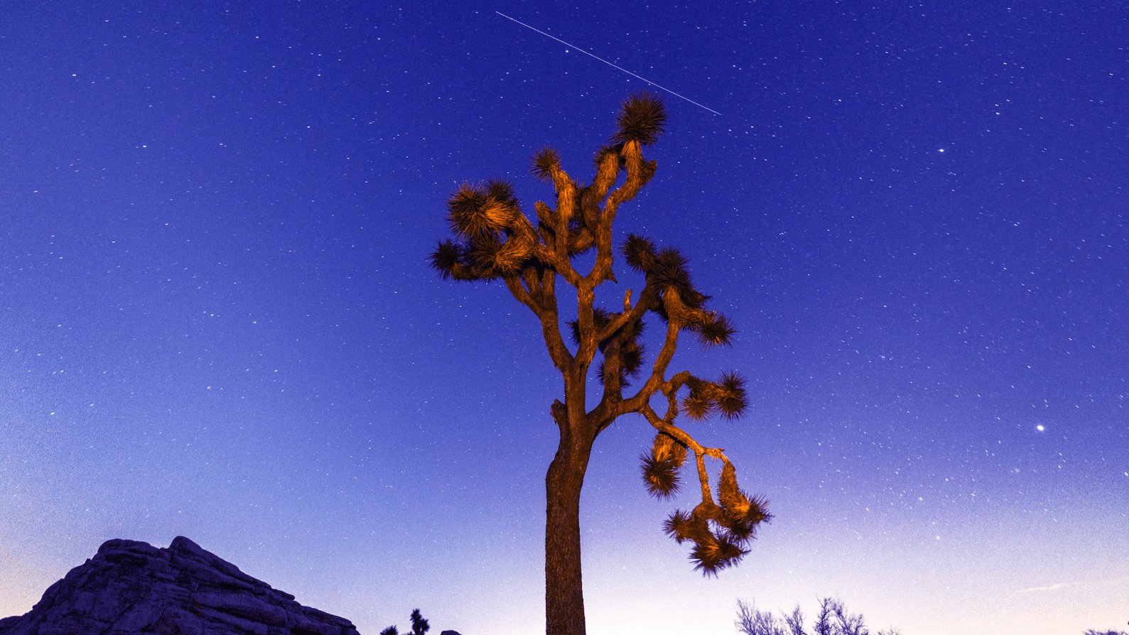 April skygazing: A pink micromoon, the Lyrid meteor shower, and more ...