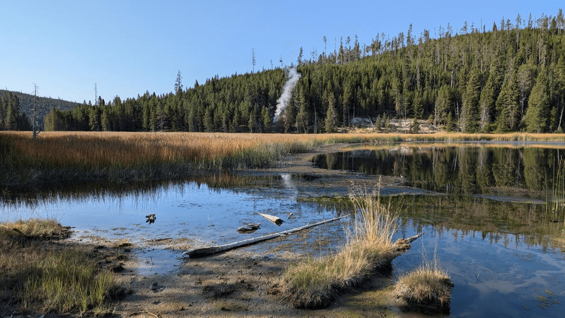 Keep an eye on Yellowstone's steamy new hydrothermal vent | Popular Science