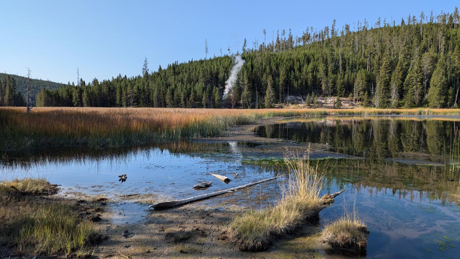 How does the Shepard tone work? | Popular Science