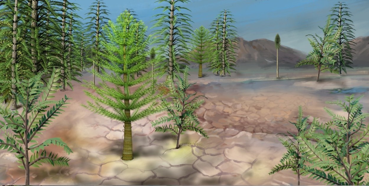 The remote locale that shielded plants during Earth's biggest mass ...