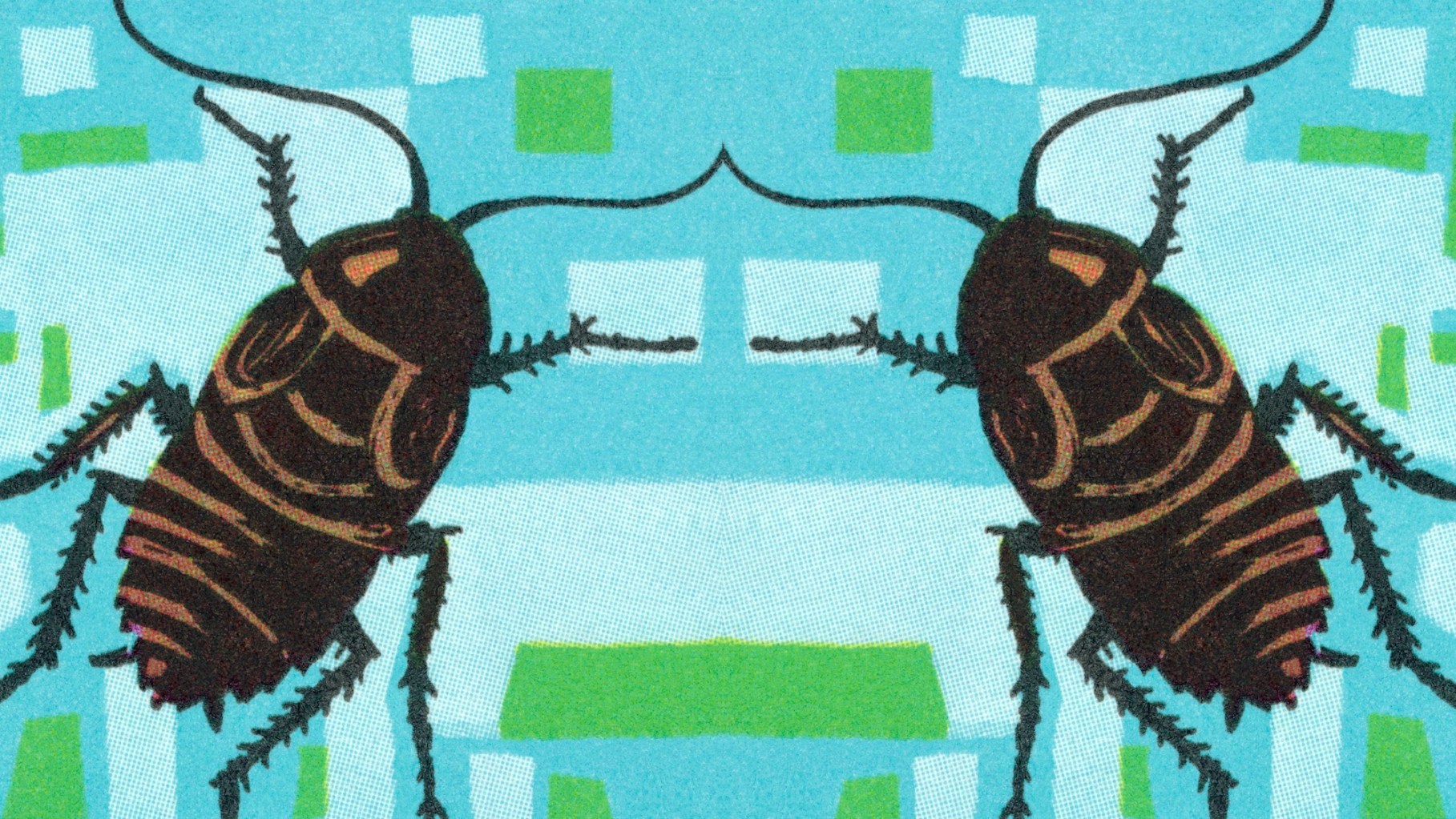 Why cockroaches are so resilient | Popular Science