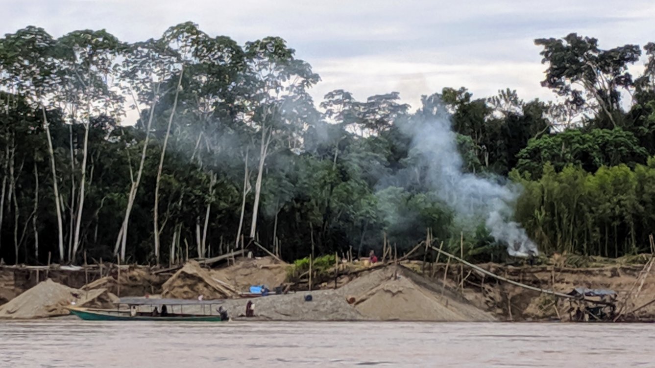 Trees can snitch on illegal gold miners in the Amazon | Popular Science