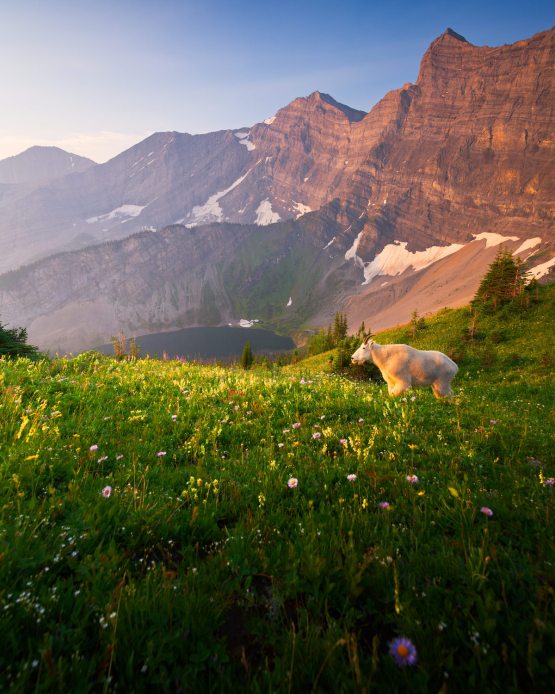 10 gorgeous wildlife photos documenting Earth's beauty | Popular Science