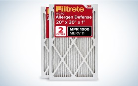 How to allergy-proof your home | Popular Science