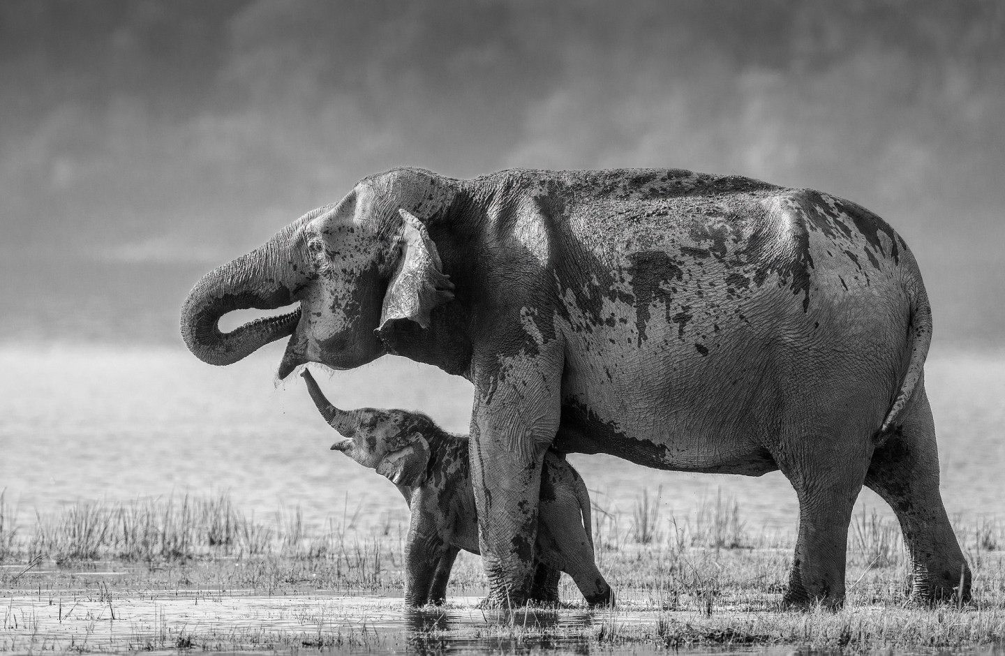 20 unforgettable images of Earth's animal kingdom | Popular Science
