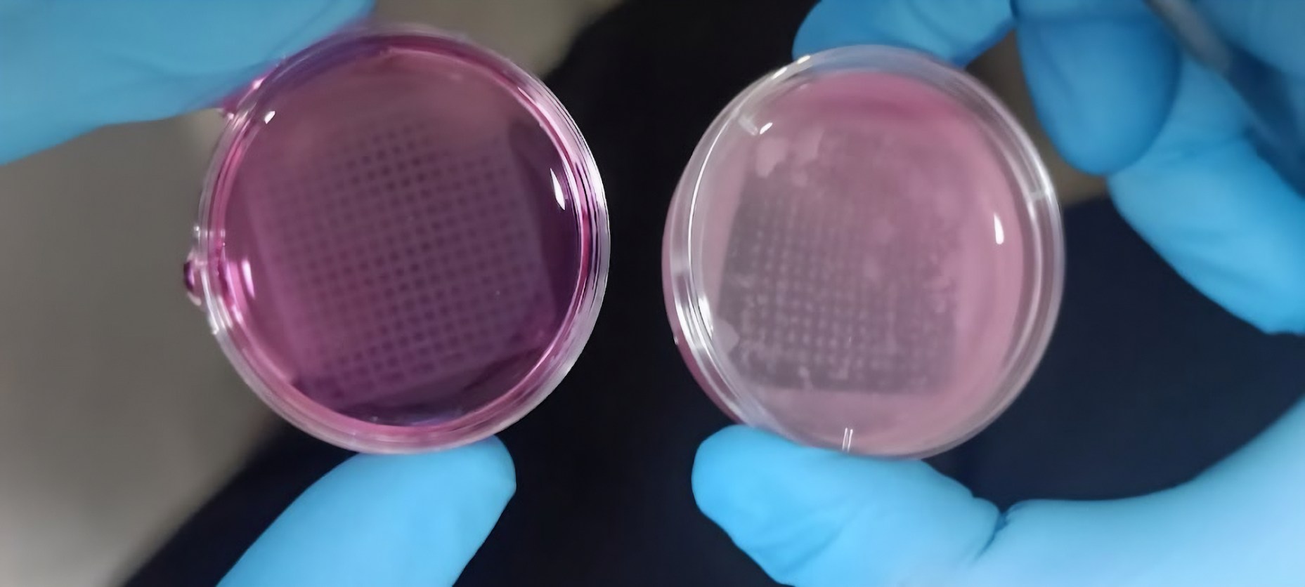 3D-printed 'skin' could make testing cosmetics on animals obsolete ...