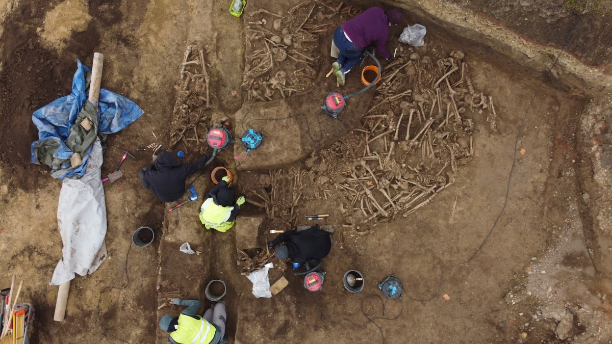 Mass grave of over 120 Roman soldiers found under soccer field ...