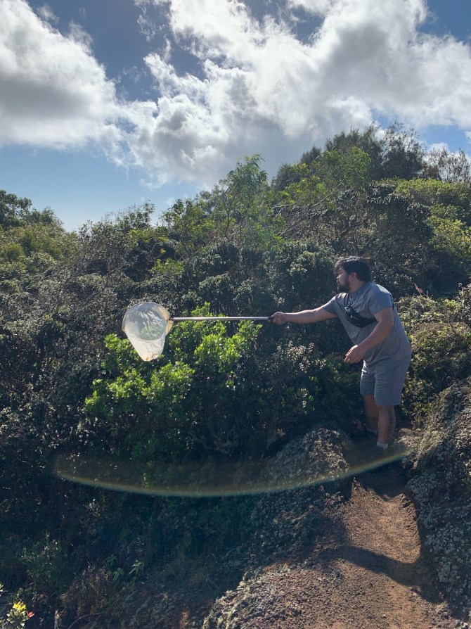 'Bone collector' caterpillar wears the body parts of dead bugs ...