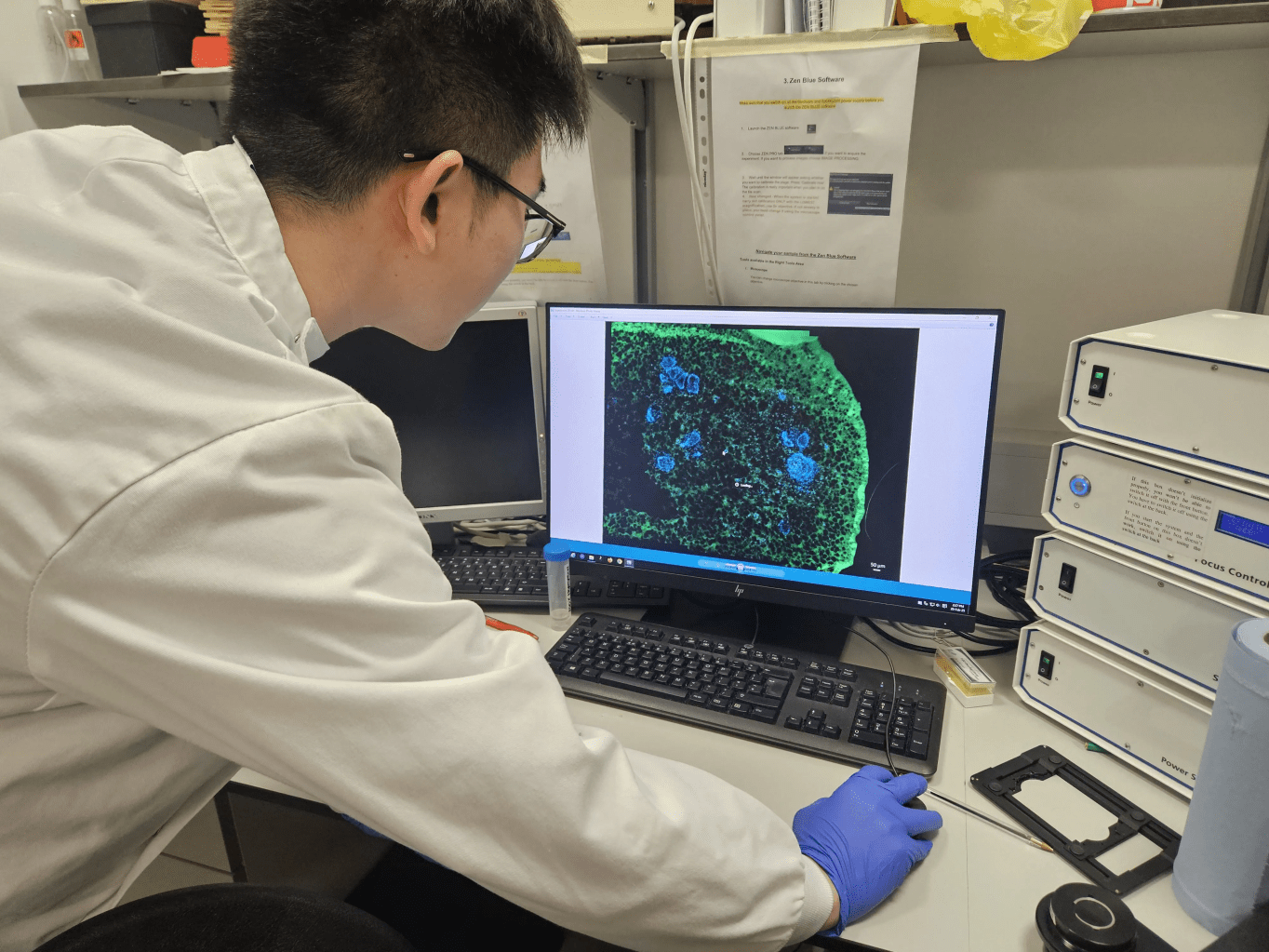 Lab-grown teeth could be the future of dentistry | Popular Science