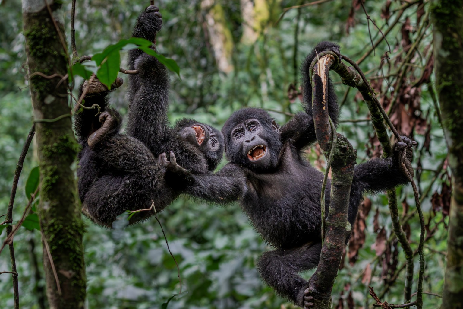 FBI warns about dangers of public USB charging ports | Popular Science