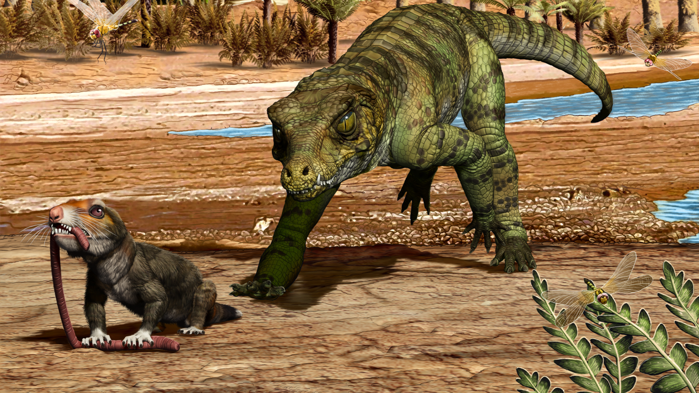 Crocodile ancestors survived two mass extinctions—here's how | Popular ...
