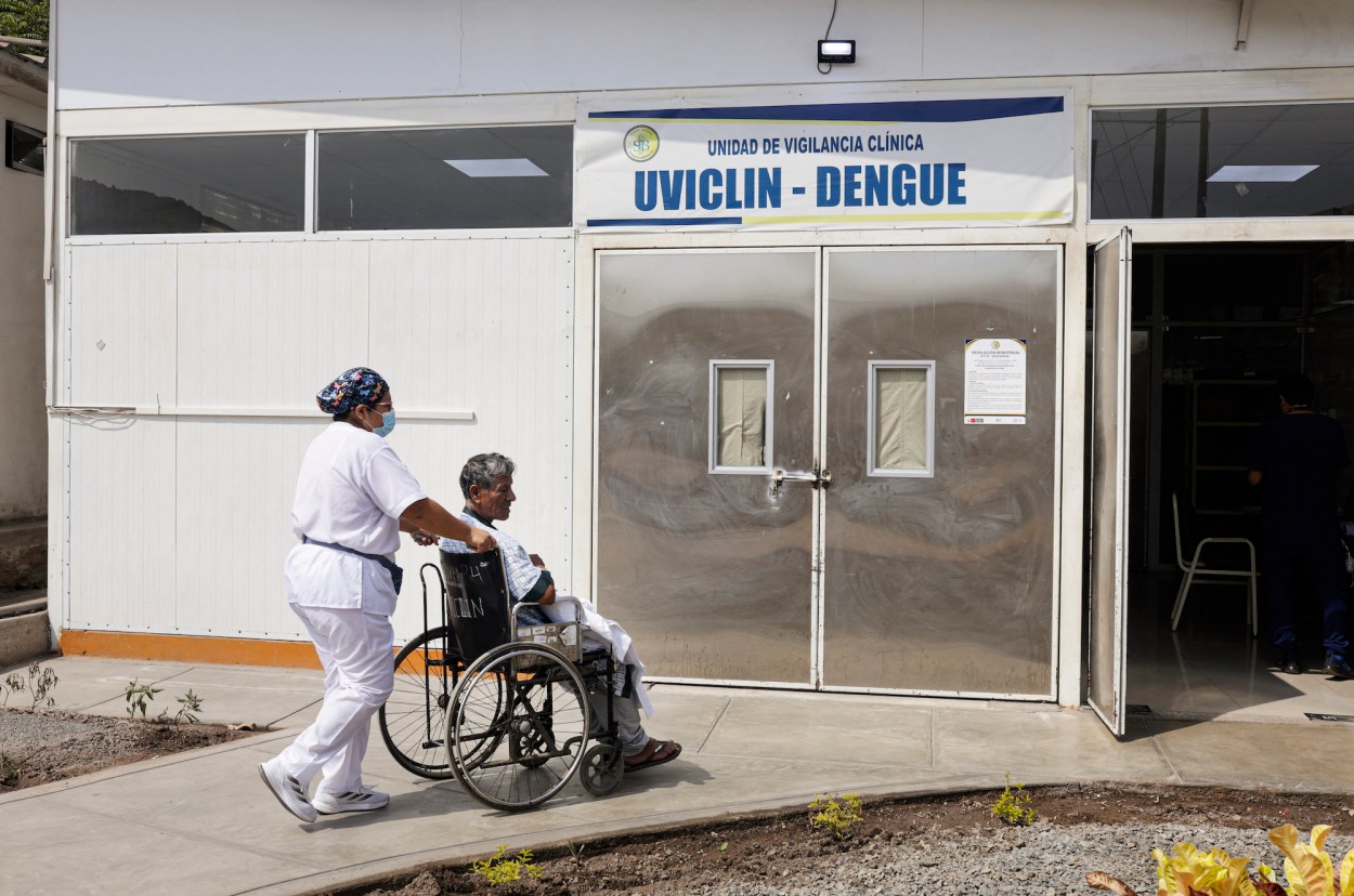 What would a world without mosquitoes look like? | Popular Science