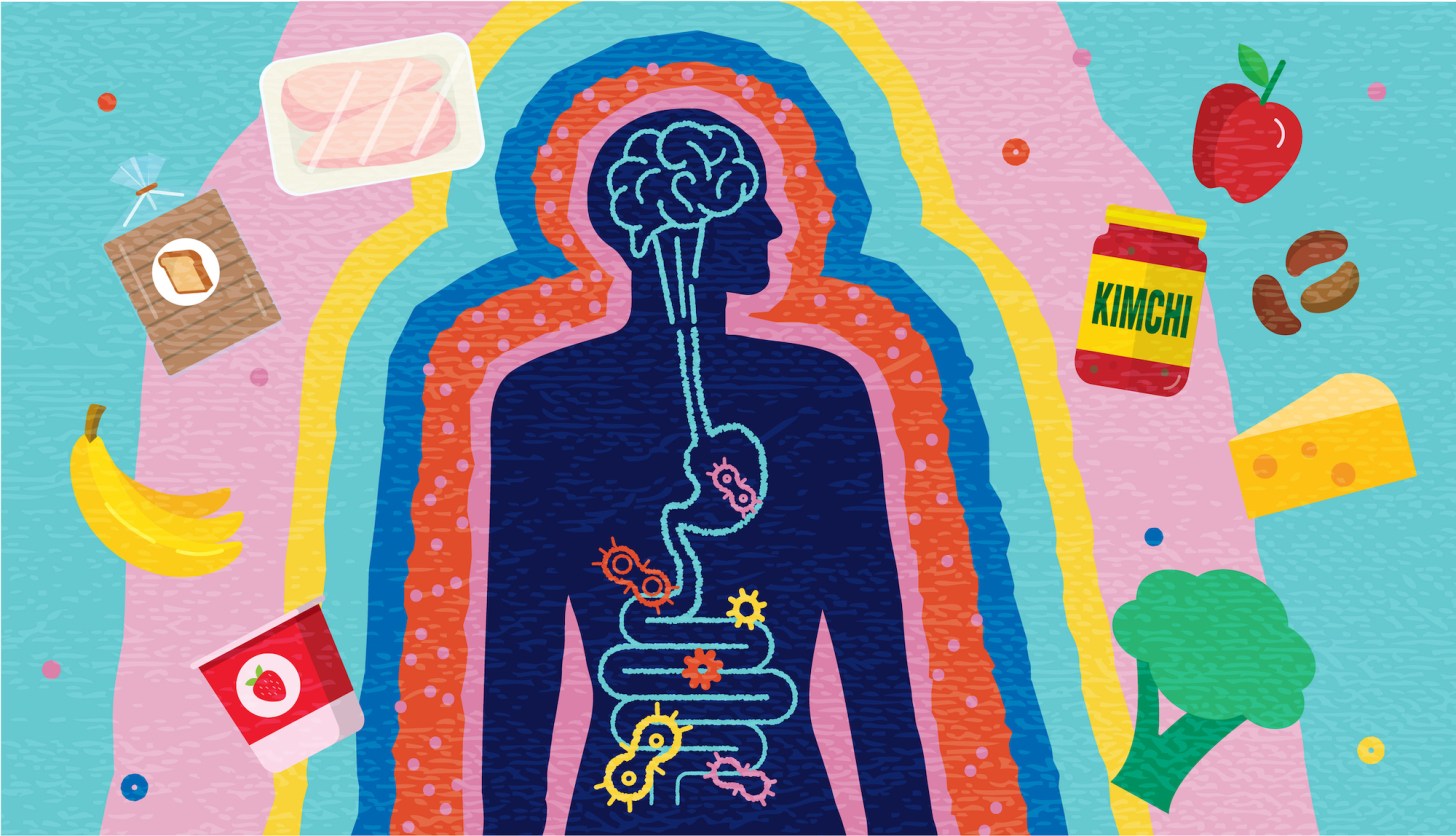 The brain remembers what gave you food poisoning | Popular Science