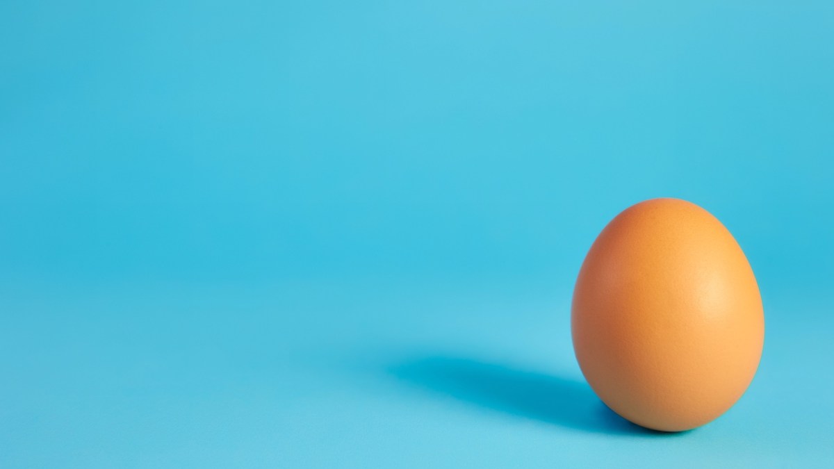 How to make an egg bounce | Popular Science