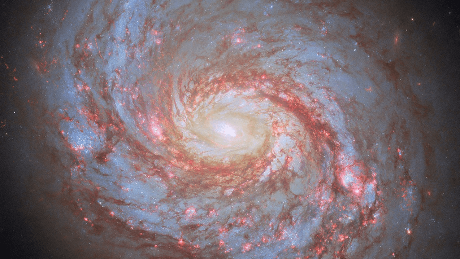 Is the universe really infinite? Astrophysicists explain. | Popular Science
