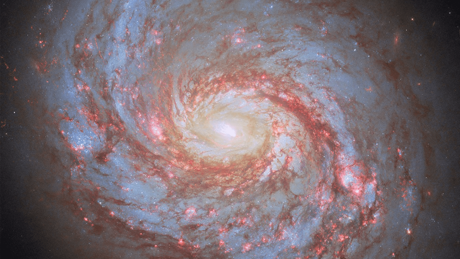 Injectable hydrogel can strengthen brittle bones | Popular Science