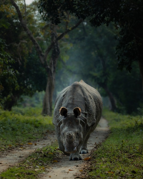 10 gorgeous wildlife photos documenting Earth's beauty | Popular Science