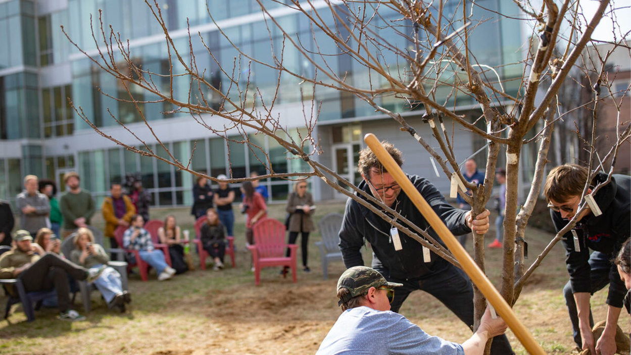 A tree with 40 different fruits planted in Philadelphia | Popular Science