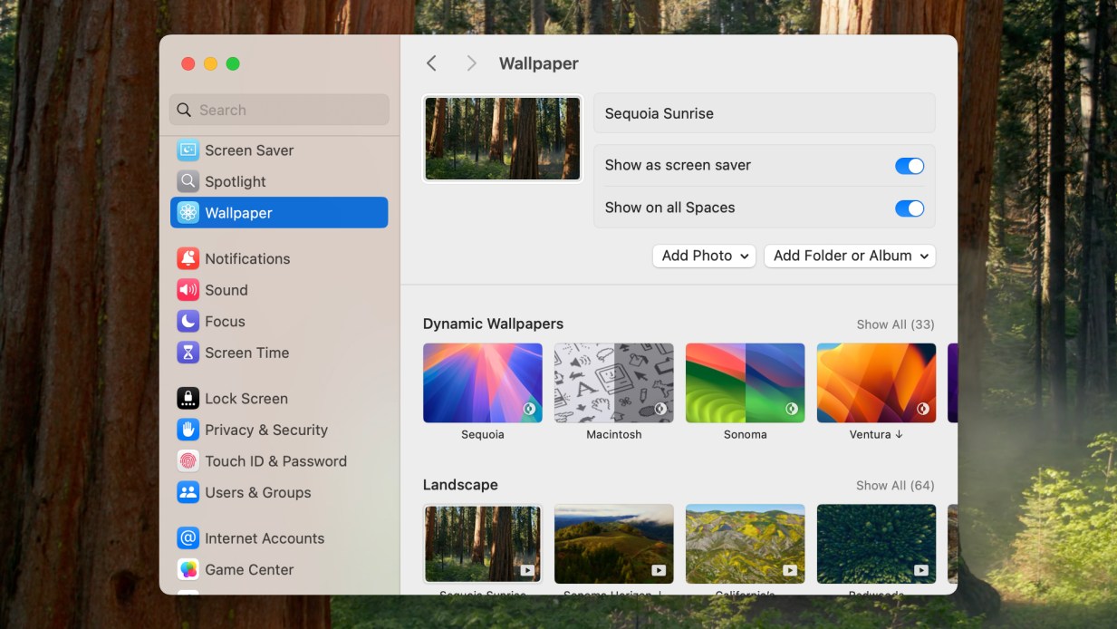 9 settings to change on your Mac | Popular Science