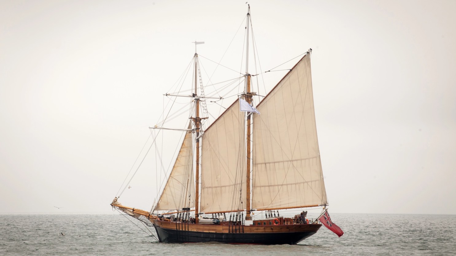 Skull found on New Jersey beach linked to 19th century shipwreck ...