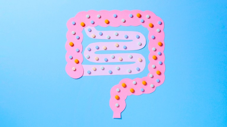 Will prebiotics and probiotics really help you poop? What gut experts ...