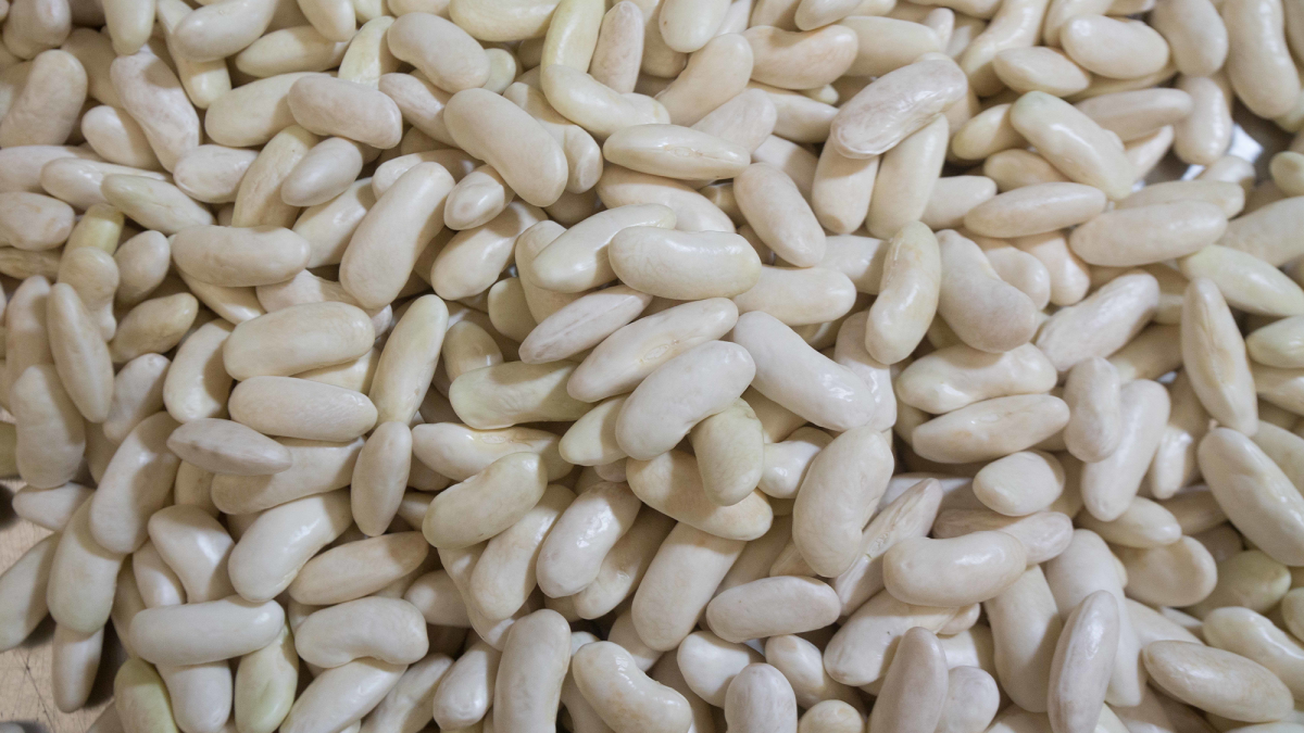 Why fava beans taste gross (and how scientists want to fix them ...