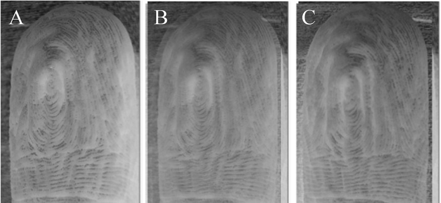 Your fingers wrinkle the same way every time they're in water | Popular ...