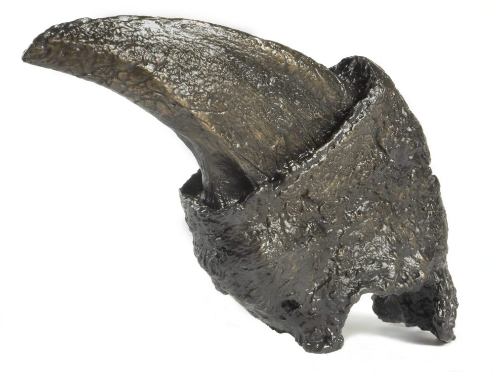 8,000-pound sloths once roamed North America. Where'd they go ...