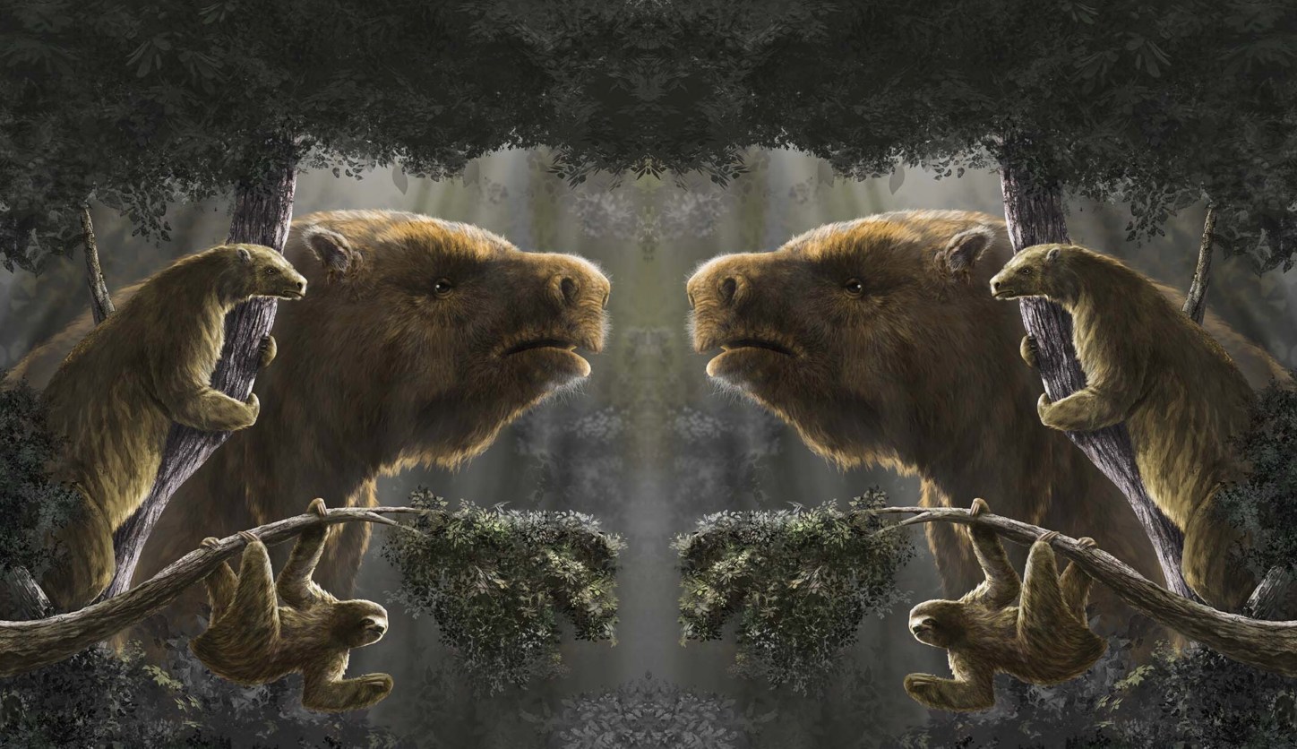 8,000-pound sloths once roamed North America. Where'd they go ...