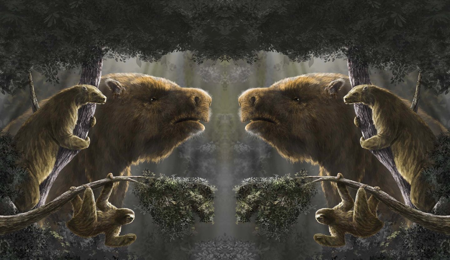 8,000-pound sloths once roamed North America. Where'd they go ...