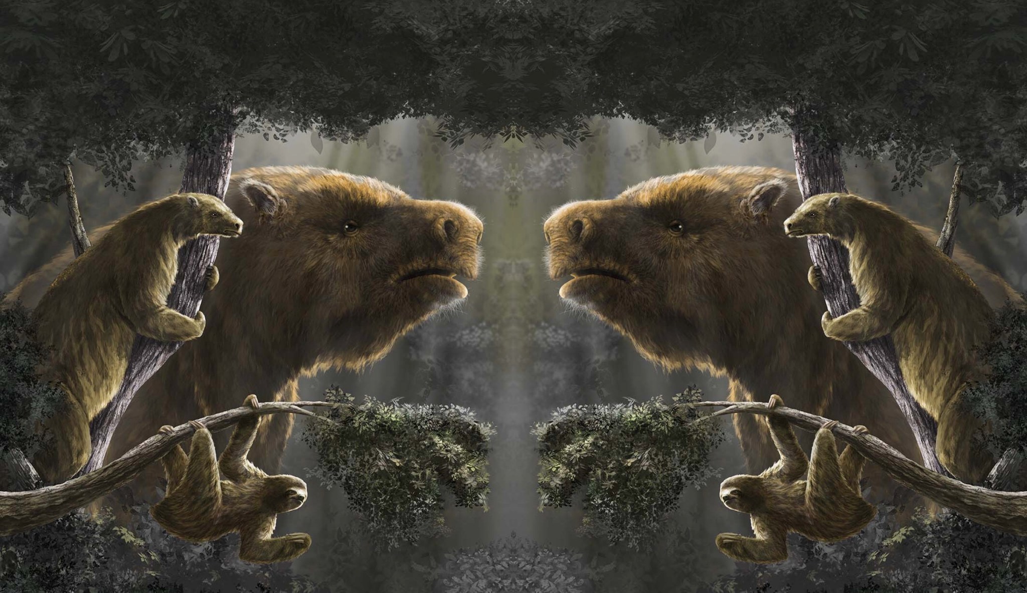 8,000-pound sloths once roamed North America. Where'd they go ...