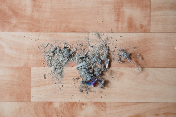 How to measure the air quality in your home by yourself and with a pro ...