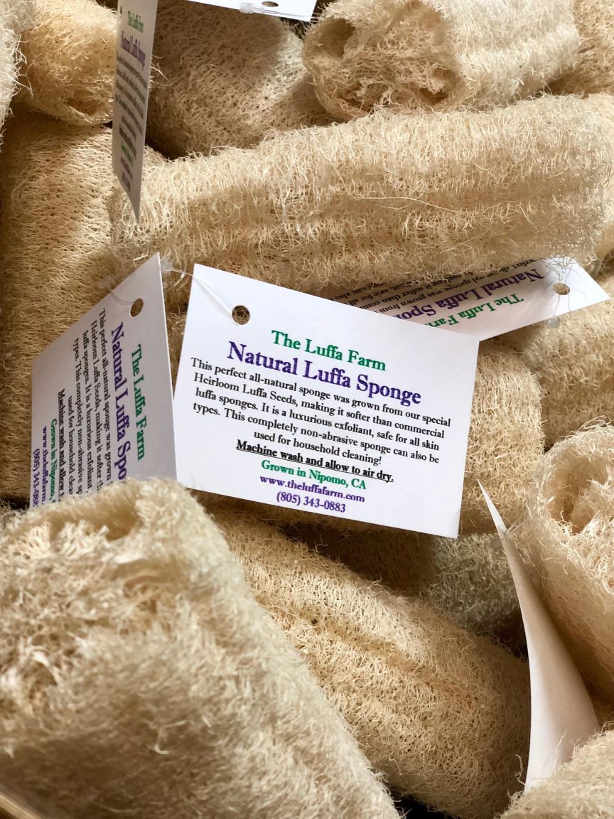 A trip to the farm where loofahs grow on vines | Popular Science