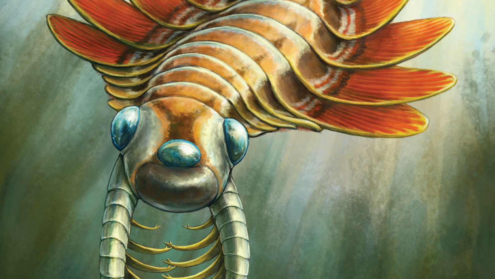 Ancient three-eyed ‘sea moth’ used its butt to breathe | Popular Science