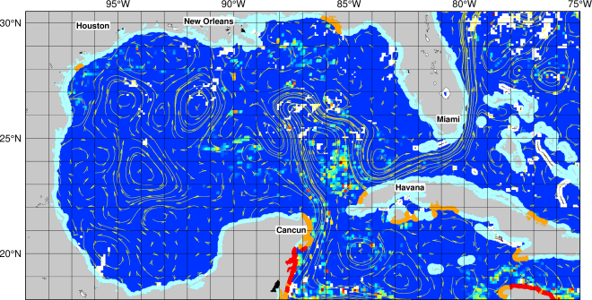 31 million tons of seaweed ready to stink up Florida's beaches ...