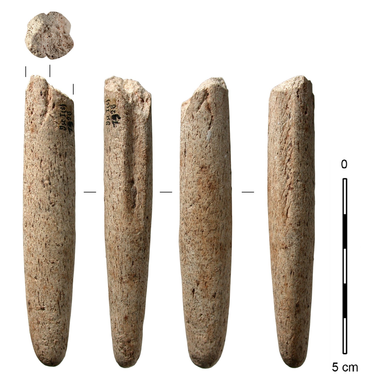 Oldest-known whale bone tools discovered in a Spanish cave | Popular ...