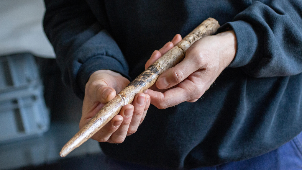 Oldest-known whale bone tools discovered in a Spanish cave | Popular ...