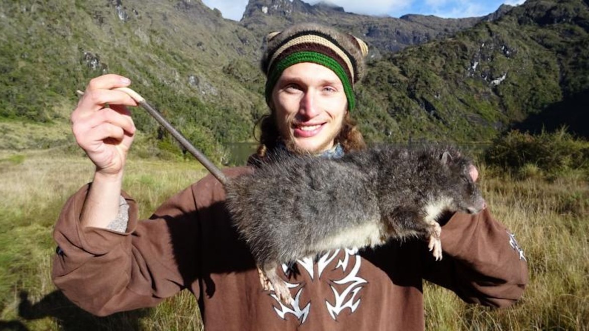 Elusive woolly rat photographed for the first time | Popular Science