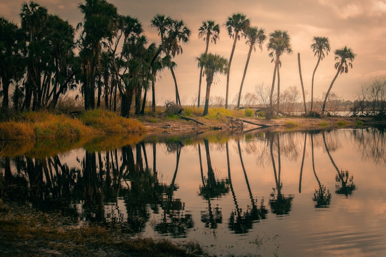 13 serene nature images from the Florida State Parks photo contest ...