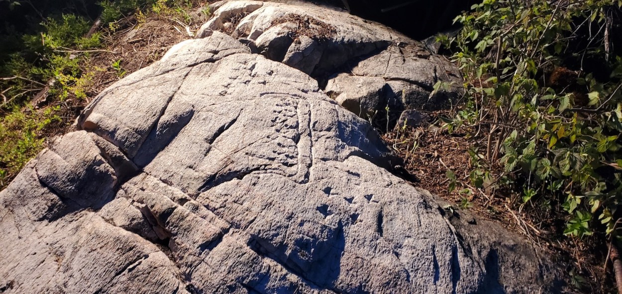 Runes found in Canadian wilderness baffle archaeologists | Popular Science