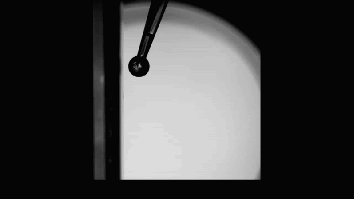 Vertically rolling ball ‘challenges our basic understanding of physics ...