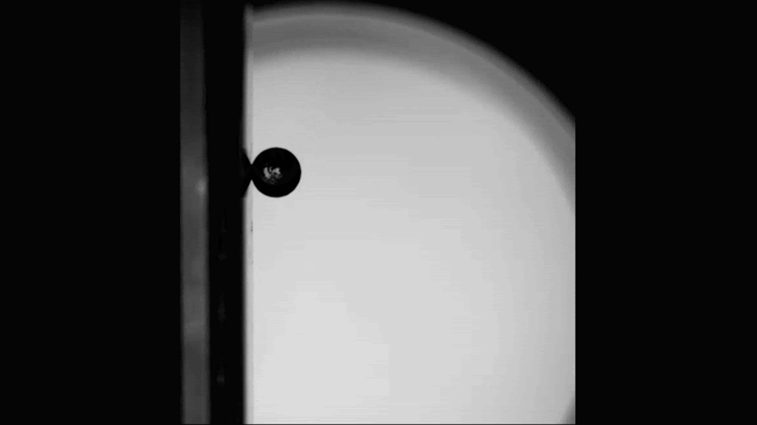 Vertically rolling ball ‘challenges our basic understanding of physics ...