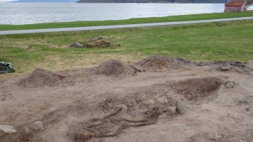 Viking woman buried in ceremonial boat with her dog | Popular Science