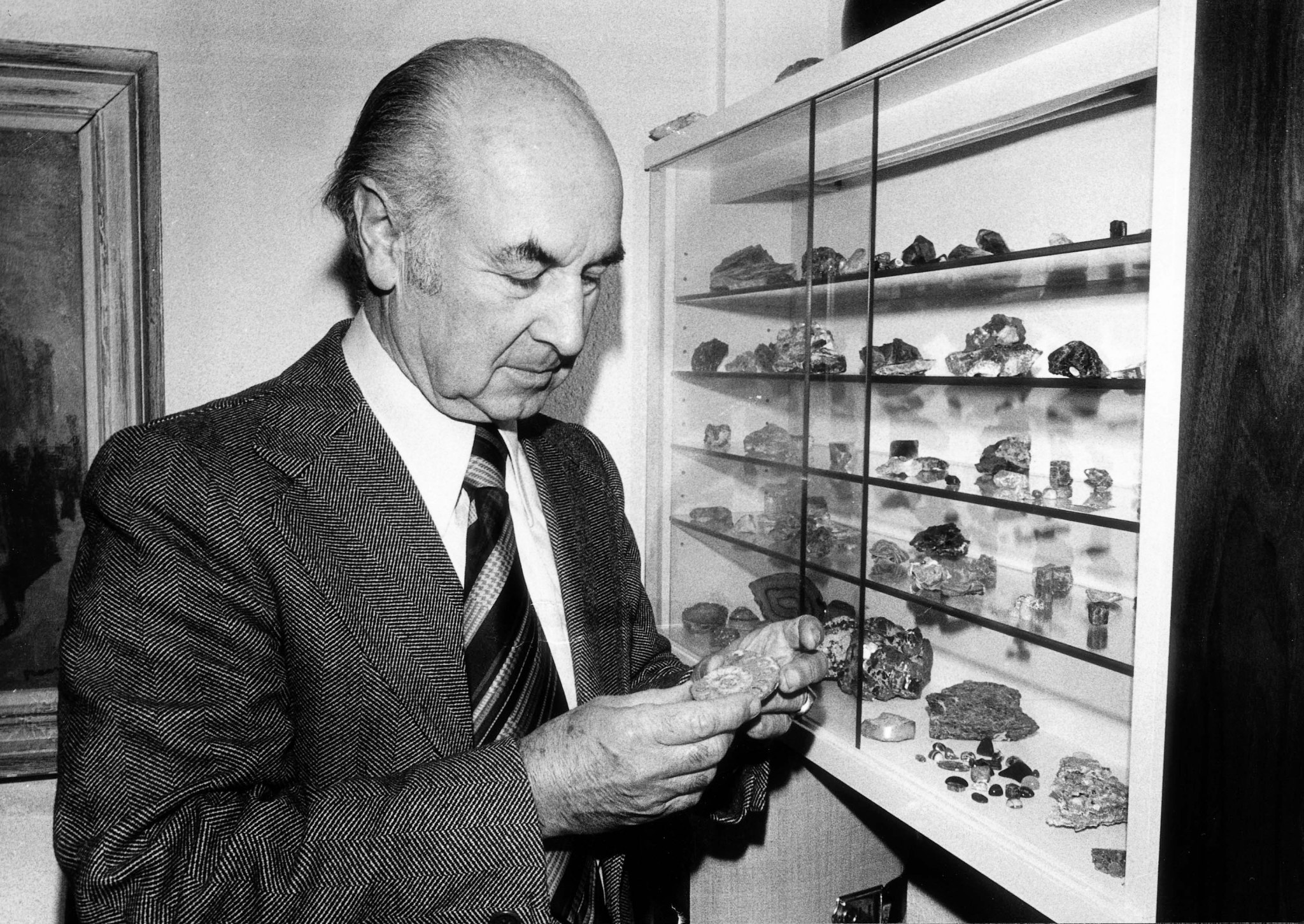 College student discovers mysterious fungus that eluded LSD's inventor ...