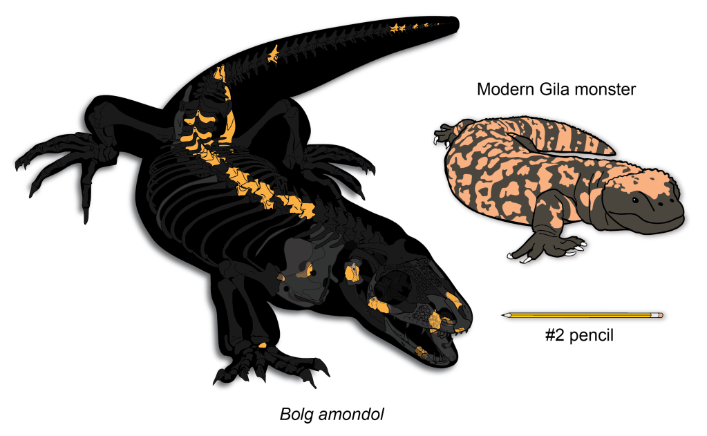 Bones of a raccoon-sized prehistoric lizard sat in a jar for 20 years ...