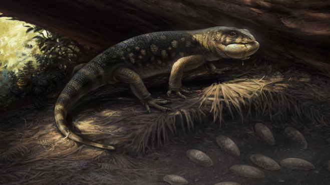Bones of a raccoon-sized prehistoric lizard sat in a jar for 20 years ...