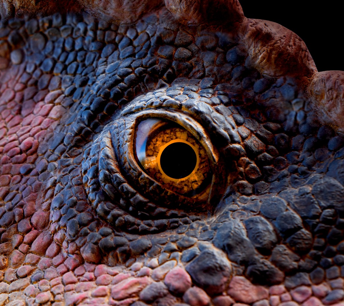 A dinosaur 'tombstone' lurks underneath New Jersey | Popular Science