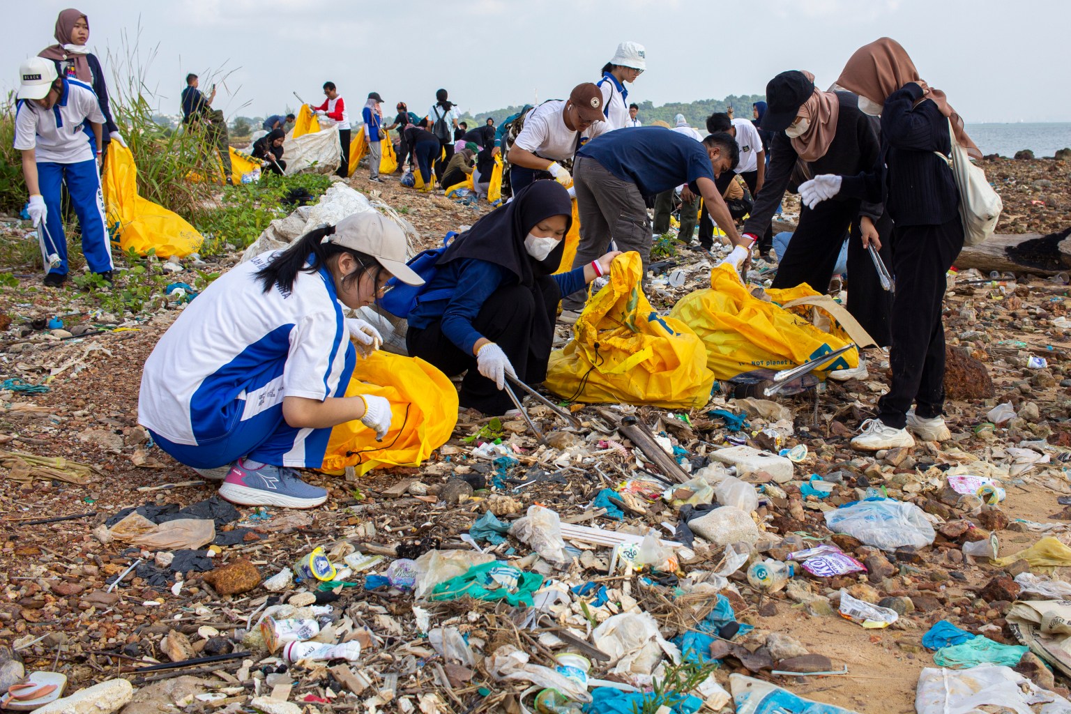 Plastic bag bans work, new study shows | Popular Science